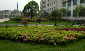 China Factory - Jinan Belt-Way truck part Co., Ltd