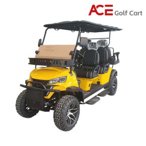 Quality Smart Charger Carbon Steel 6 Seater Golf Cart With 48V 150AH Battery for sale