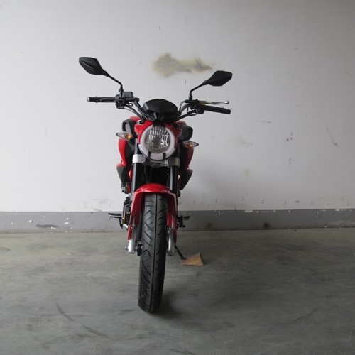 Quality TR250-U3 CDI Ignition 250CC Naked Sport Motorcycle for sale