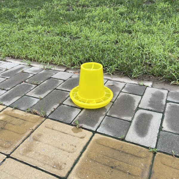 Quality No Waste Chicken Feeder durable feed bucket Standard Plastic for sale