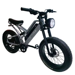 Quality Electric Foldable Bike for sale