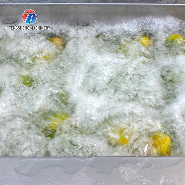 Quality Citrus cleaning production line Fruit Orange Wash Washer Washing Cleaning Dryer for sale