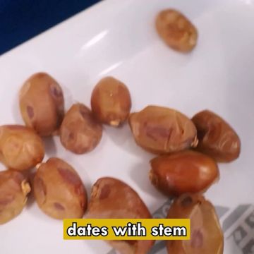Quality Unlocking Efficiency Revolutionizing Palm Dates Sorting Machine with Cutting for sale