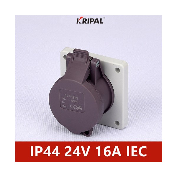 Quality IP44 24V 48V 2P Single Phase Low Voltage Panel Mounted Socket for sale