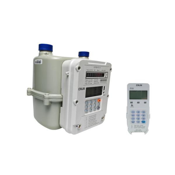 Quality MODBUS Communication Prepaid Gas Meter AMR AMI Compatibility , Maintenance Free for sale