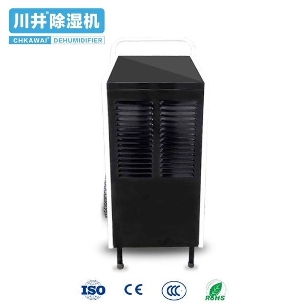 Quality Compressor Technology Moisture Absorber Dehumidifier DH-801B with Hot Stamping for sale