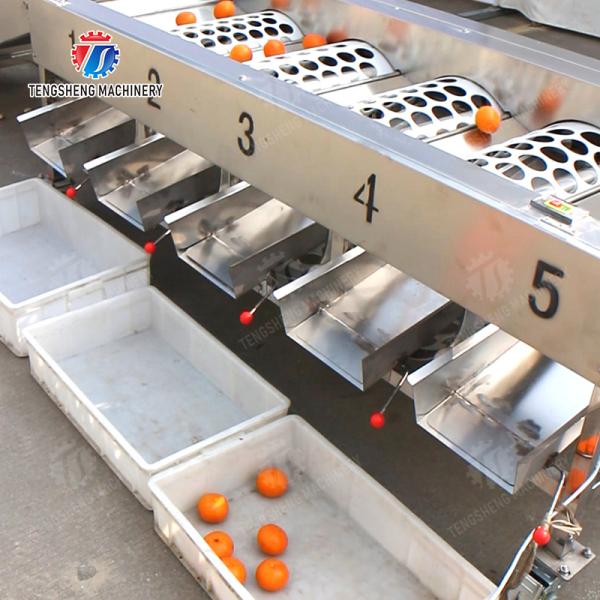 Quality Fruit Orange Vegetable Saiko persimmon lemon tangerine passion fruit avocado for sale
