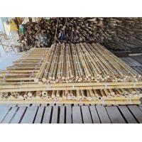 Quality 18mm To 160mm Diameter Bamboo Cane Moso Bamboo Pole Construction Agriculture for sale