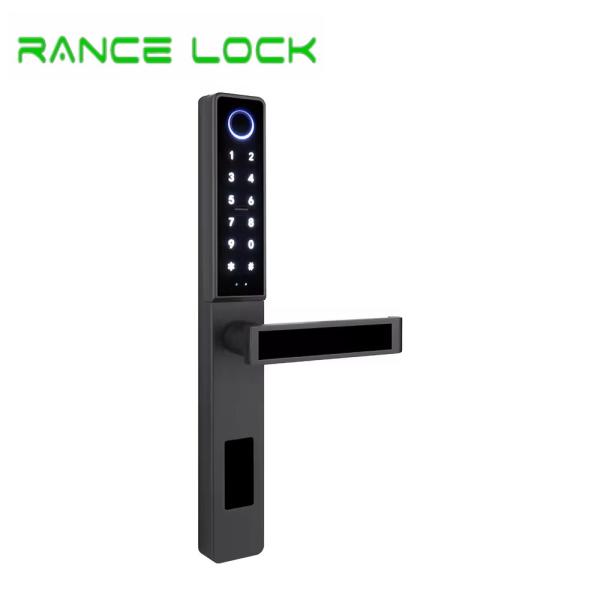 Quality Remote Unlocking Fingerprint Smart Door Lock Silver / Black Fingerprint for sale