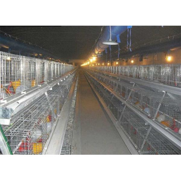 Quality ISO9001 Laminated Layer Chicken Cage For Hen for sale