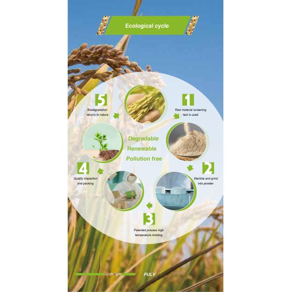 Quality BPA Free Hotel Amenity Supplies Eco Friendly Room Amenities Suppliers for sale