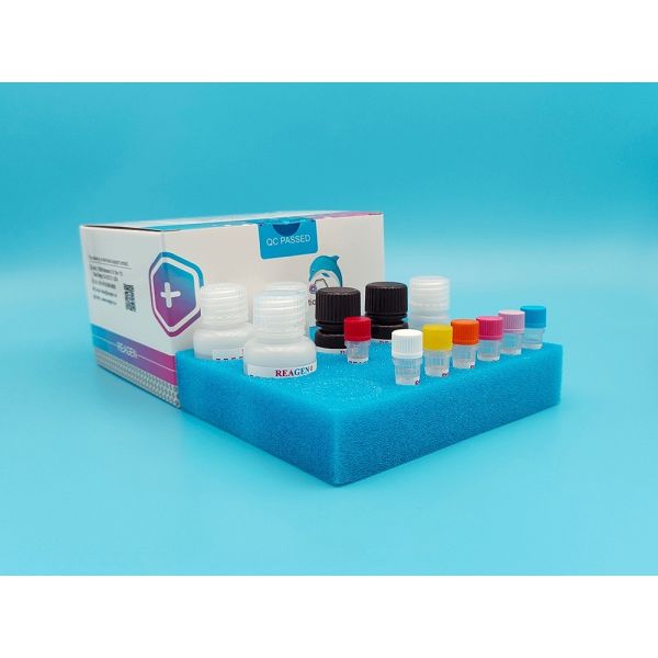 Quality Versatile Dairy Test Kit for Small-Scale Dairy Product Analysis for sale