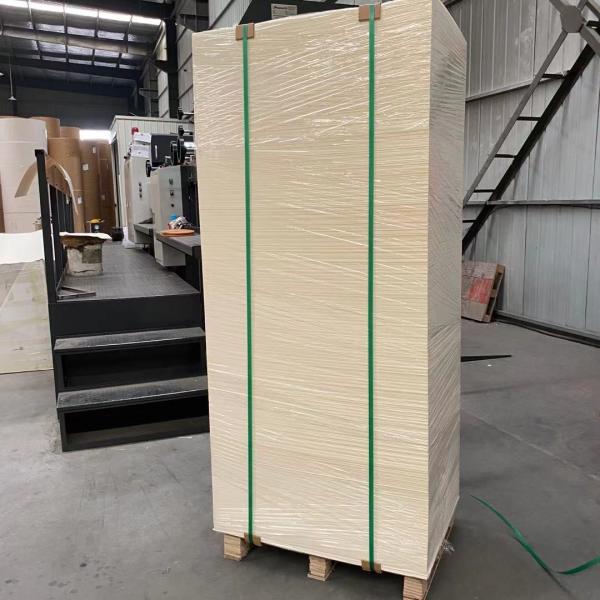 Quality 230gsm+15gsm PE Paper Cup Sheet Oil Proof PE Coated Paper Sheet for sale