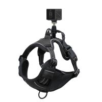 Quality No Monthly Fee GPS Tracker Long Battery Life Global Coverage Replacement Collar for sale
