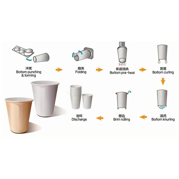 Quality 50HZ Automatic Paper Cup Machine , High Speed Paper Cup Forming Machine electric for sale