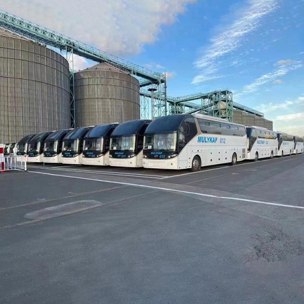 Quality RORO Shipping Rates From Chinese Freight Agent For Vehicles And Construction for sale