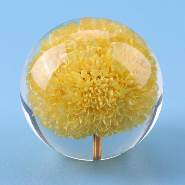 Quality Custom clear epoxy real flower specimen acrylic dandelion paper weight for sale