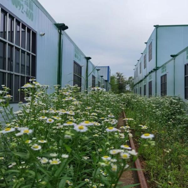 Quality 20ft 2 Storey Container House for Luxury Living and Work in Steel Structure for sale