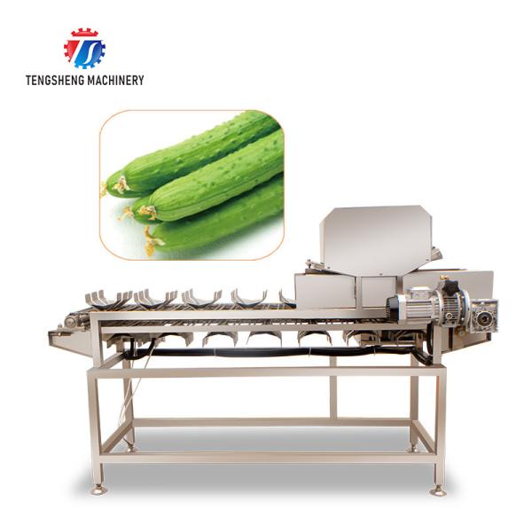 Quality 380V 150KG Luffa pumpkin asparagus cucumber lettuce bitter melon slicing machine for sale