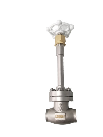Quality Stainless Steel 304 CF8 DN20 Low Temperature Globe Valve for sale