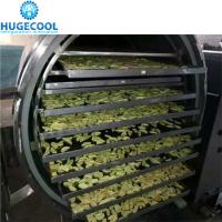 China Automatic Control Vacuum Freeze Drying Machine , Freeze Dried Food Dryer factory