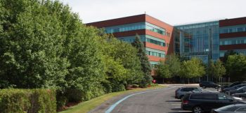 China Factory - uk green word