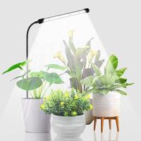 Quality 53*42*51cm LED Growth Lamp Small Plants 5 Level Dimming Seed Grow Light for sale