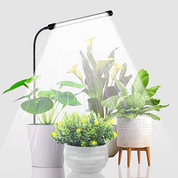 Quality 53*42*51cm LED Growth Lamp Small Plants 5 Level Dimming Seed Grow Light for sale