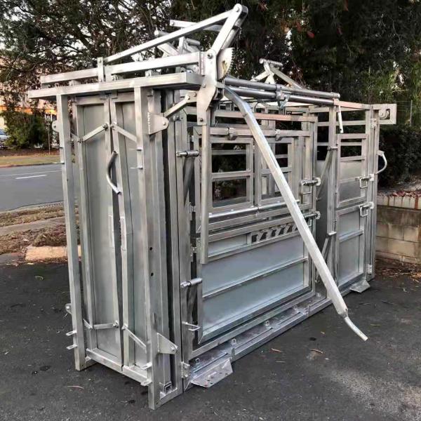 Quality Rectangle Portable Cattle Crush PVC Coated Powder Coated Calf Crush for sale