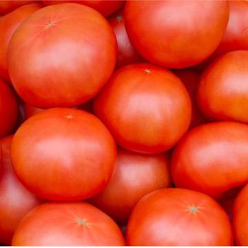 500kgs Per Hour Tomato Paste Processing Line Stainless Steel