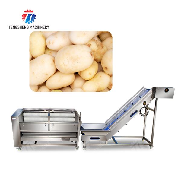 Quality Brush washing and hoisting production line Ginger Potato Carrot Taro Sweet for sale