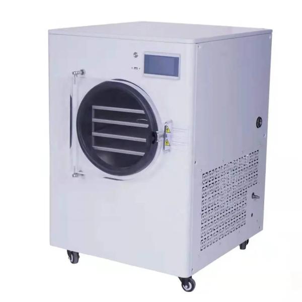 Quality Stainless Steel Pharmaceutical Freeze Dryer Standard Customized for sale