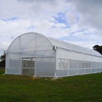 Quality 150 micro PE Film Greenhouse Ebb And Flow Rolling Bench Seedbed Greenhouse With Grow Tables for sale