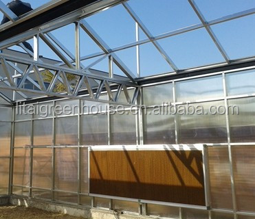 Quality Hydroponic System for Aquaponics in Multi-Span Agricultural Greenhouse for sale