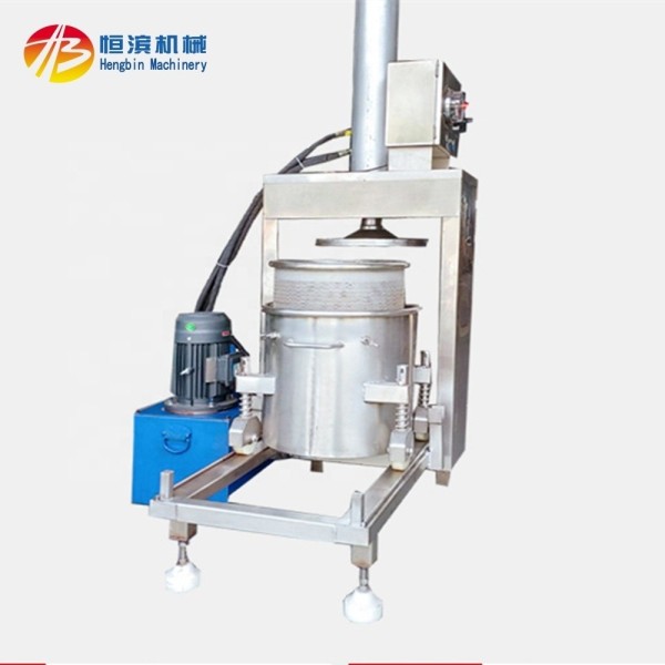 Quality Powerful 3kw Hydraulic Juicer Press for Strawberry Lemon Apple Banana Pear Production for sale