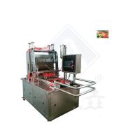 Quality 50kgs Double Colors Rings Pear Gummy Candy Depositing Machine for Pectin-based for sale