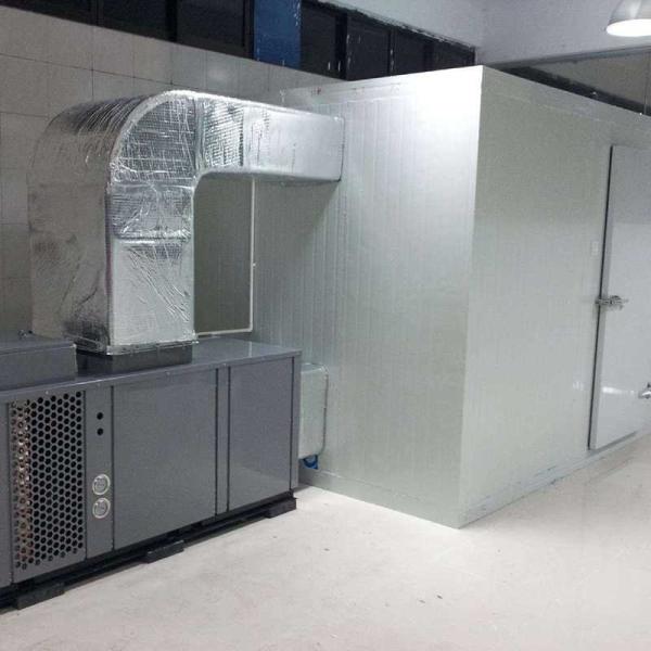 Quality Honeysuckle Mint Leaves Oven Drying Machine 1000Kg for sale