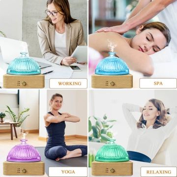 Quality Solid Wood Glass Aroma Diffuser▕ DN-839 for sale