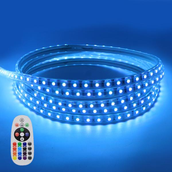 Quality 110V Remote Control Smart LED Rope Lights , Dimmable Smd LED Flexible Strips 5050 for sale