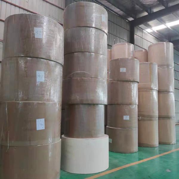 Quality Greaseproof PE Coated Paper Roll Use For Juice Beverages 260-320gsm for sale