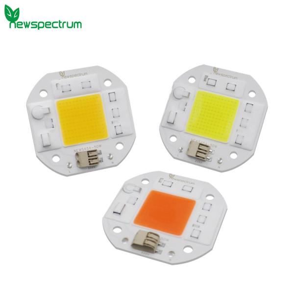 Quality High Lumen Output 50W LED Chip for sale