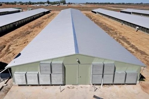 Quality Poultry House Prefabricated Steel Structure Poultry House With Sandwich Panel Galvanized Steel for sale
