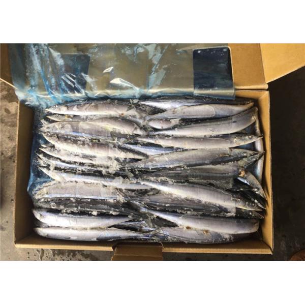 Quality #4 Frozen Pacific Saury for sale
