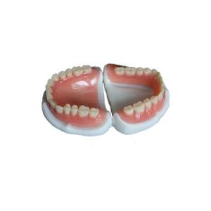 Quality Removable All Acrylic Partial Denture Natural Looking Easy To Maintain for sale