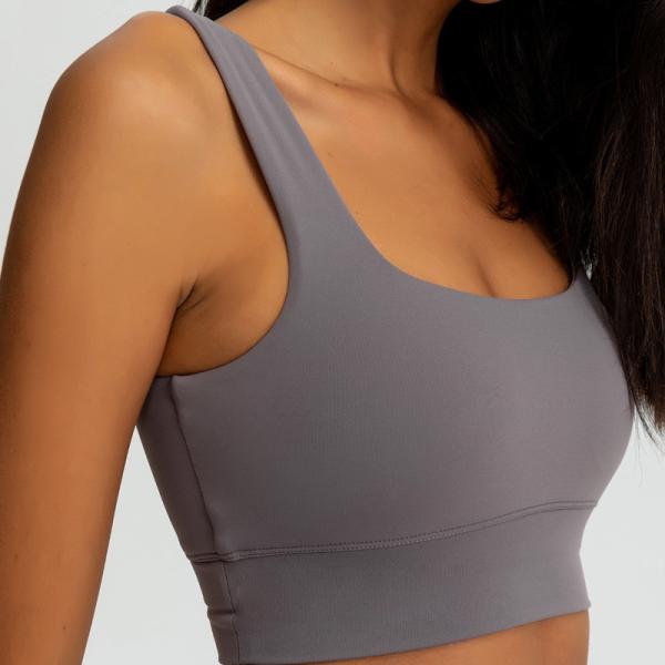 Quality Plus Size Gym Sport Bra for sale