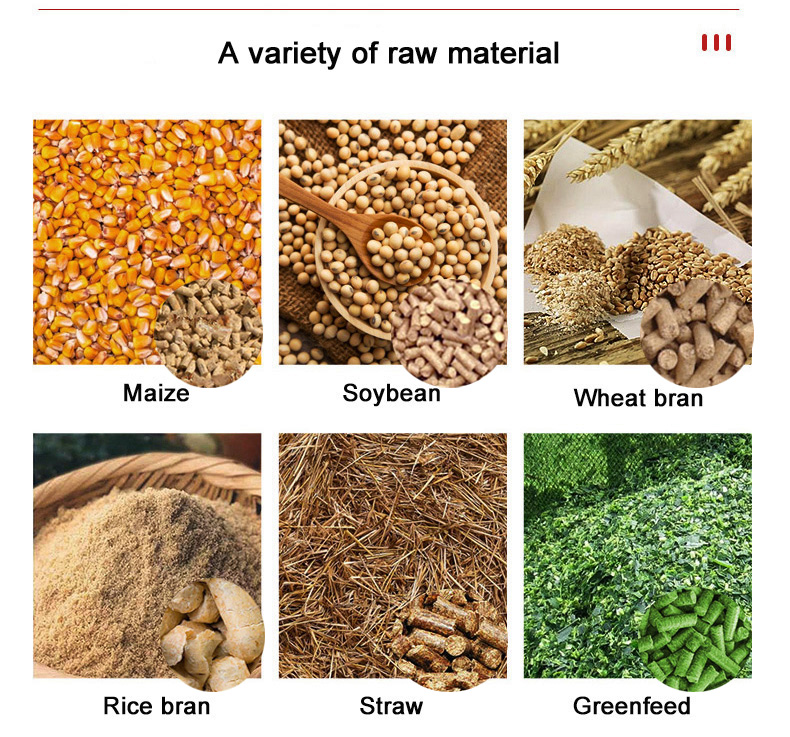 700-800kg/Hour Pellet Machine Pigs Rabbits Chickens Ducks Fodder Feed Processing Machines
