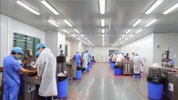 China Factory - Fendy makeup cosmetics Co.,Ltd