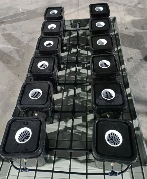 Quality Commercial 12 Bucket Aeroponic Grow System 13cm To 30cm Height for sale