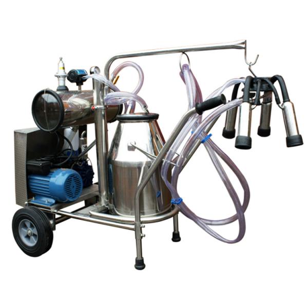 Quality Negative Pressure 170L/min Cow Milking Machine SS304 Material for sale