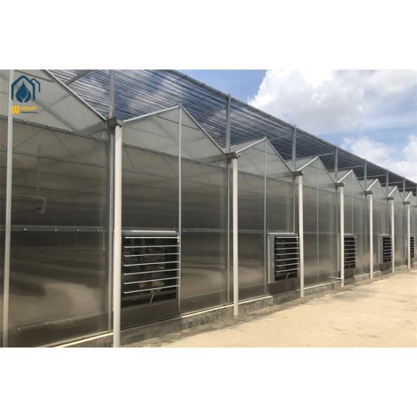 Quality Twin Wall Polycarbonate Greenhouse Smart Cultivation Automated Hydroponic Greenhouse for sale